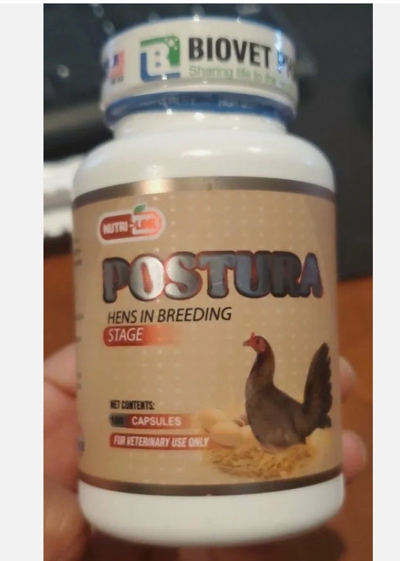Postura Hens Bone and Egg Builder 100 CAP Supplement for Egg ...