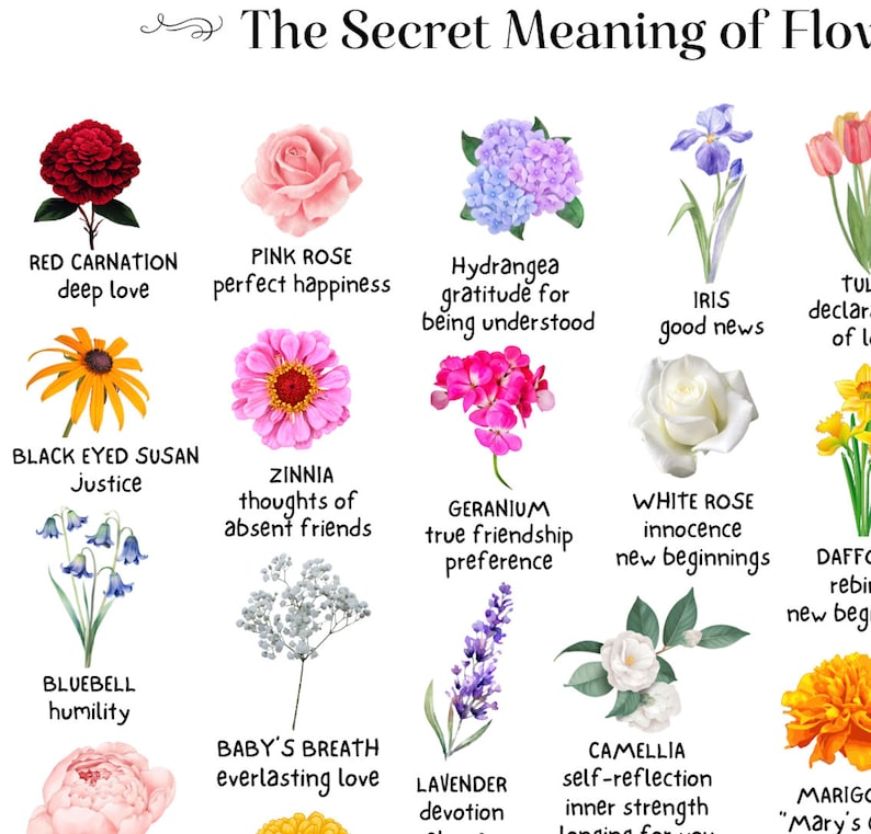 The Secret Meaning of Flowers Botanical Symbolism Flower Club Gardener ...