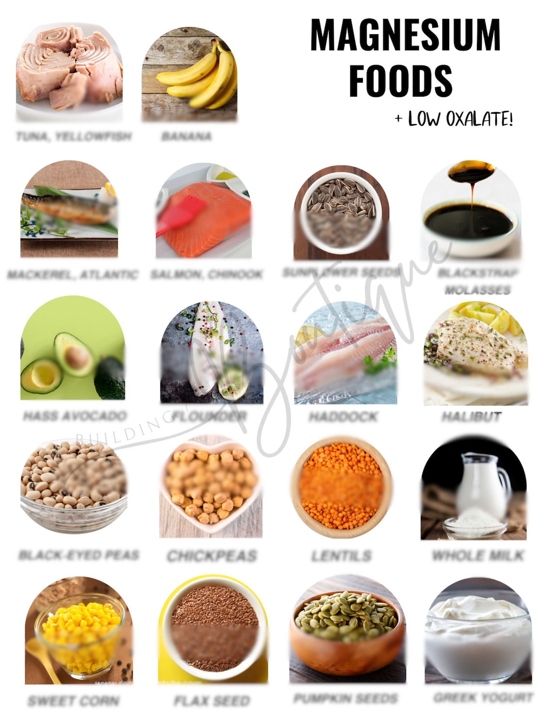 Magnesium Food Guide Printable Grocery List Digital Nutrition Guide ...