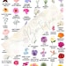 The Secret Meaning of Flowers Botanical Symbolism Flower Club Gardener ...
