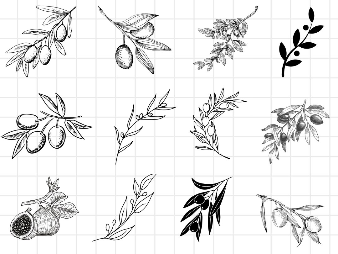 Olive Branch SVG Bundle, Olive Tree Svg, Olive Branch Dxf, Olive Branch ...