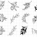 Olive Branch SVG Bundle, Olive Tree Svg, Olive Branch Dxf, Olive Branch ...
