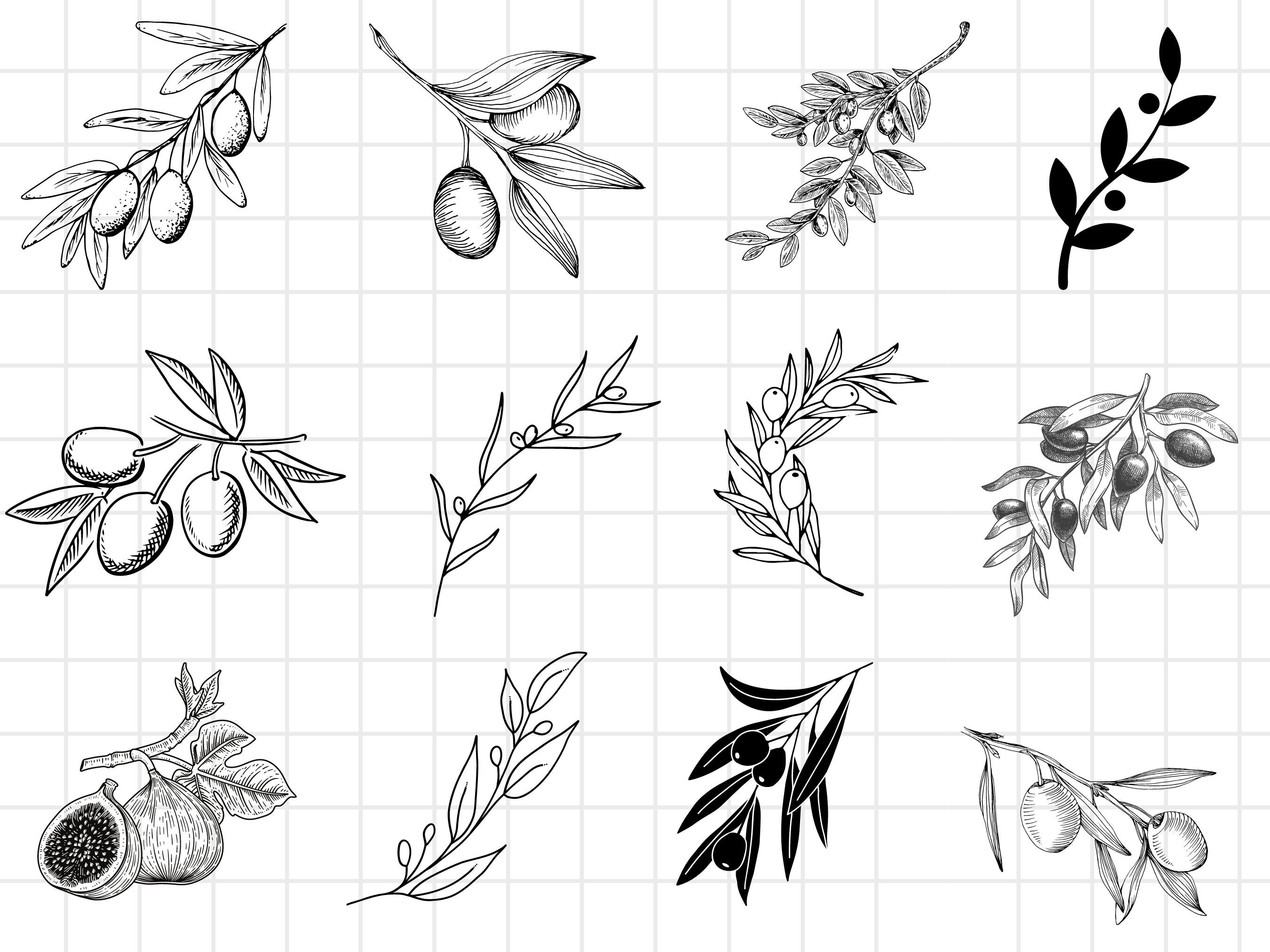 Olive Branch SVG Bundle, Olive Tree Svg, Olive Branch Dxf, Olive Branch ...