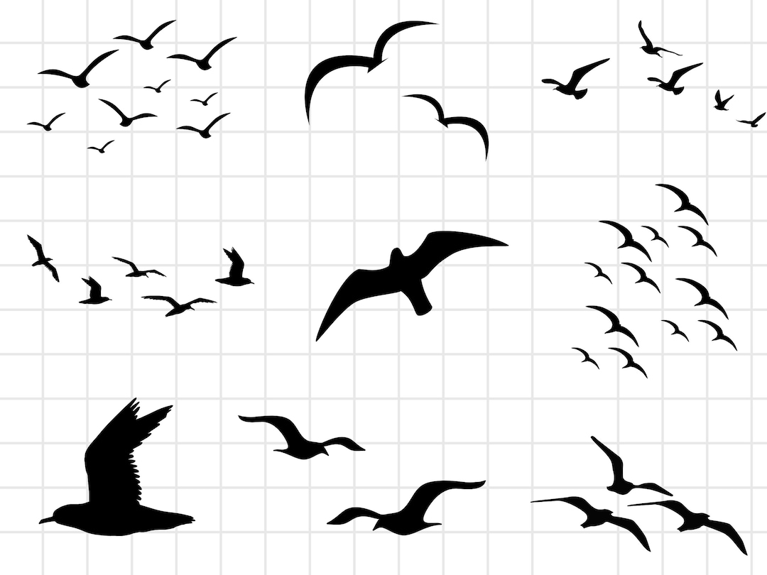 Seagull Bundle, SVG, JPG, PNG, Commercial Use, Digital Cut Files, Files ...