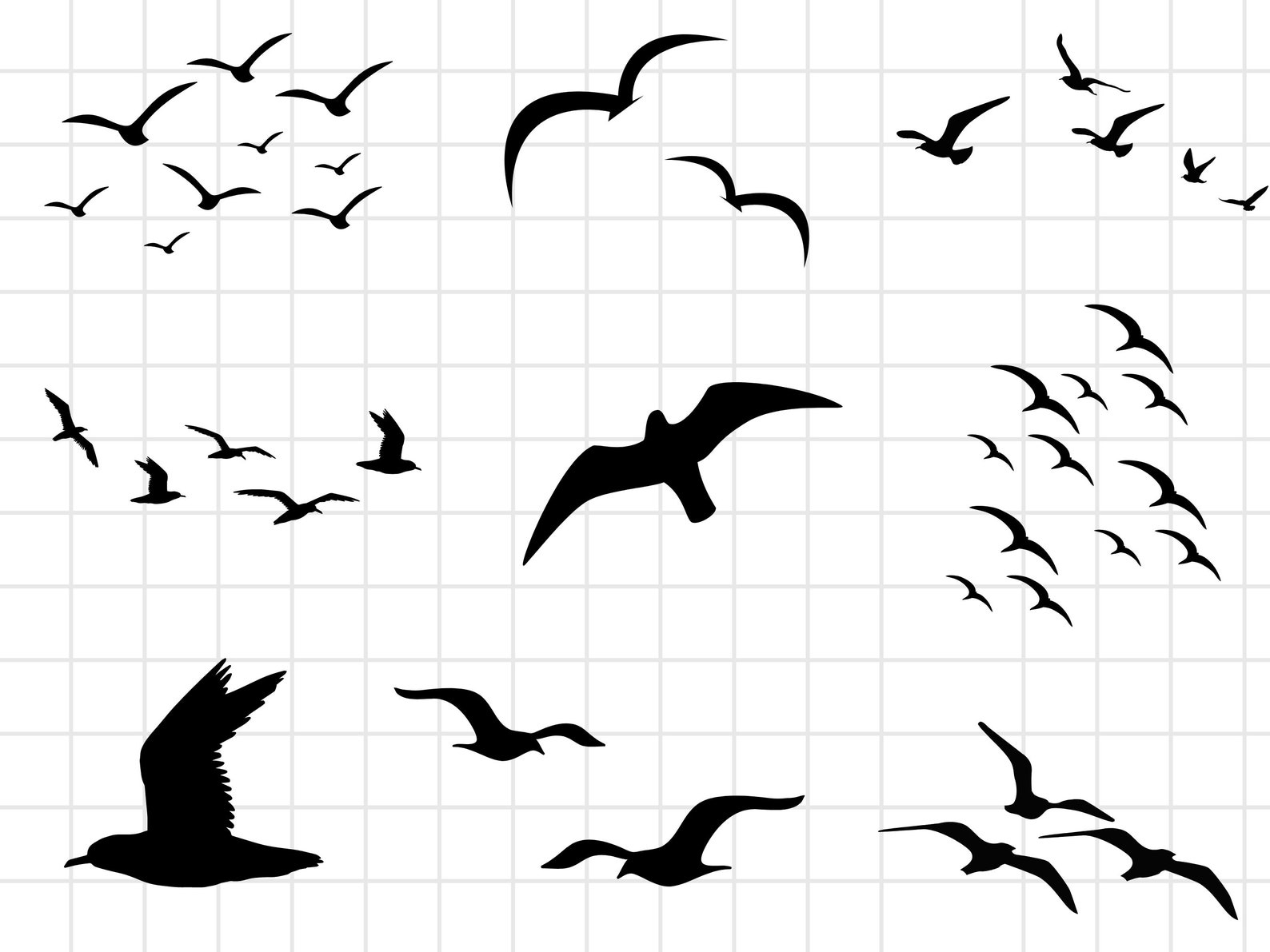 Seagull Bundle, SVG, JPG, PNG, Commercial Use, Digital Cut Files, Files ...