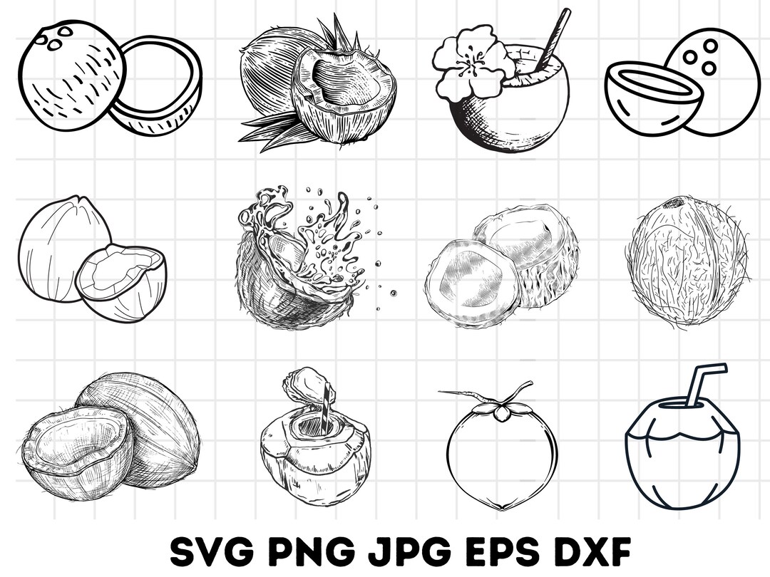 Coconut SVG, Coconut Cricut, Coconut Cocktail Svg, Summer Svg, Coconut ...