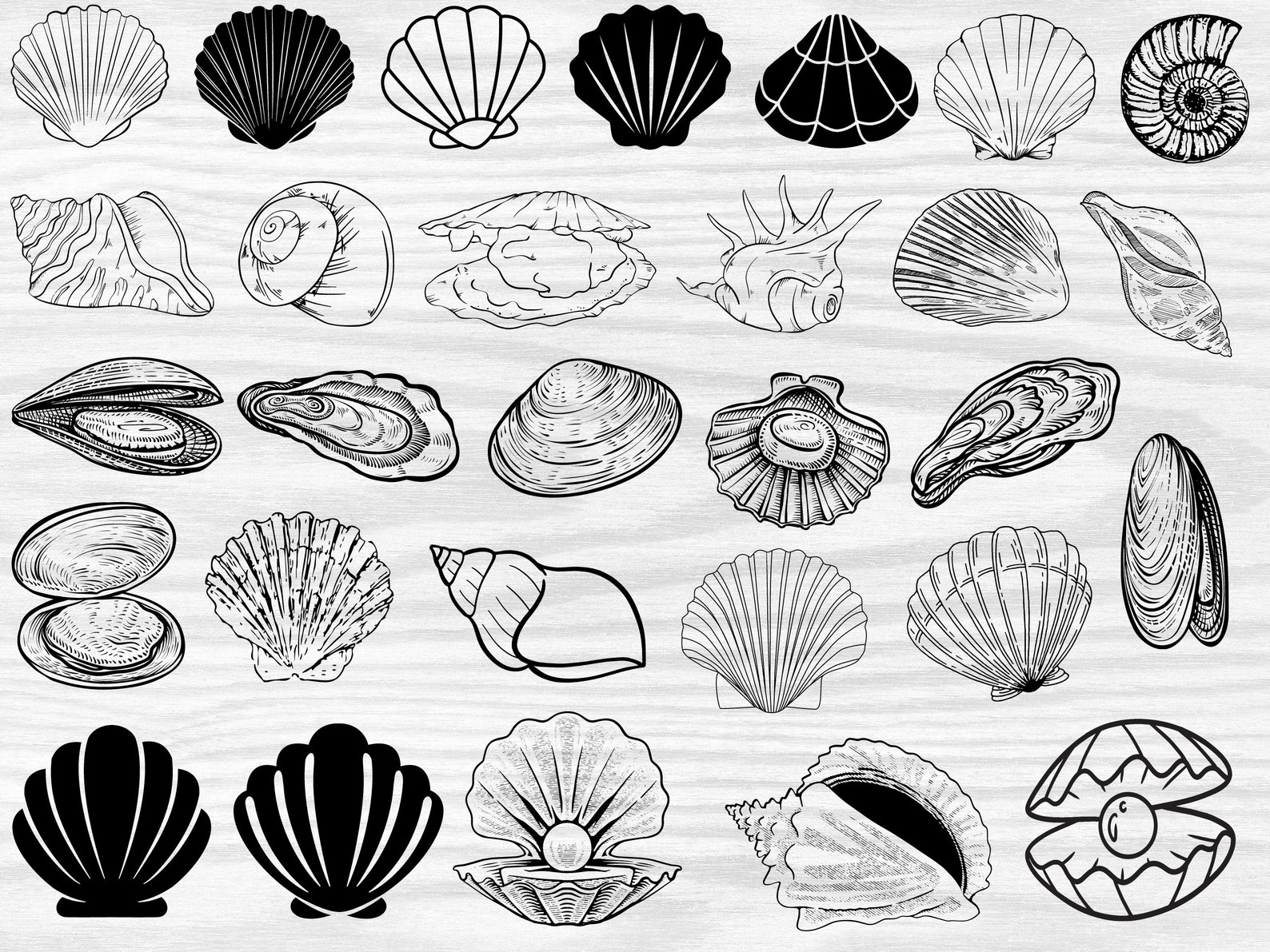 Seashell SVG Bundle, Seashell Clipart Bundle, Seashell Silhouette ...