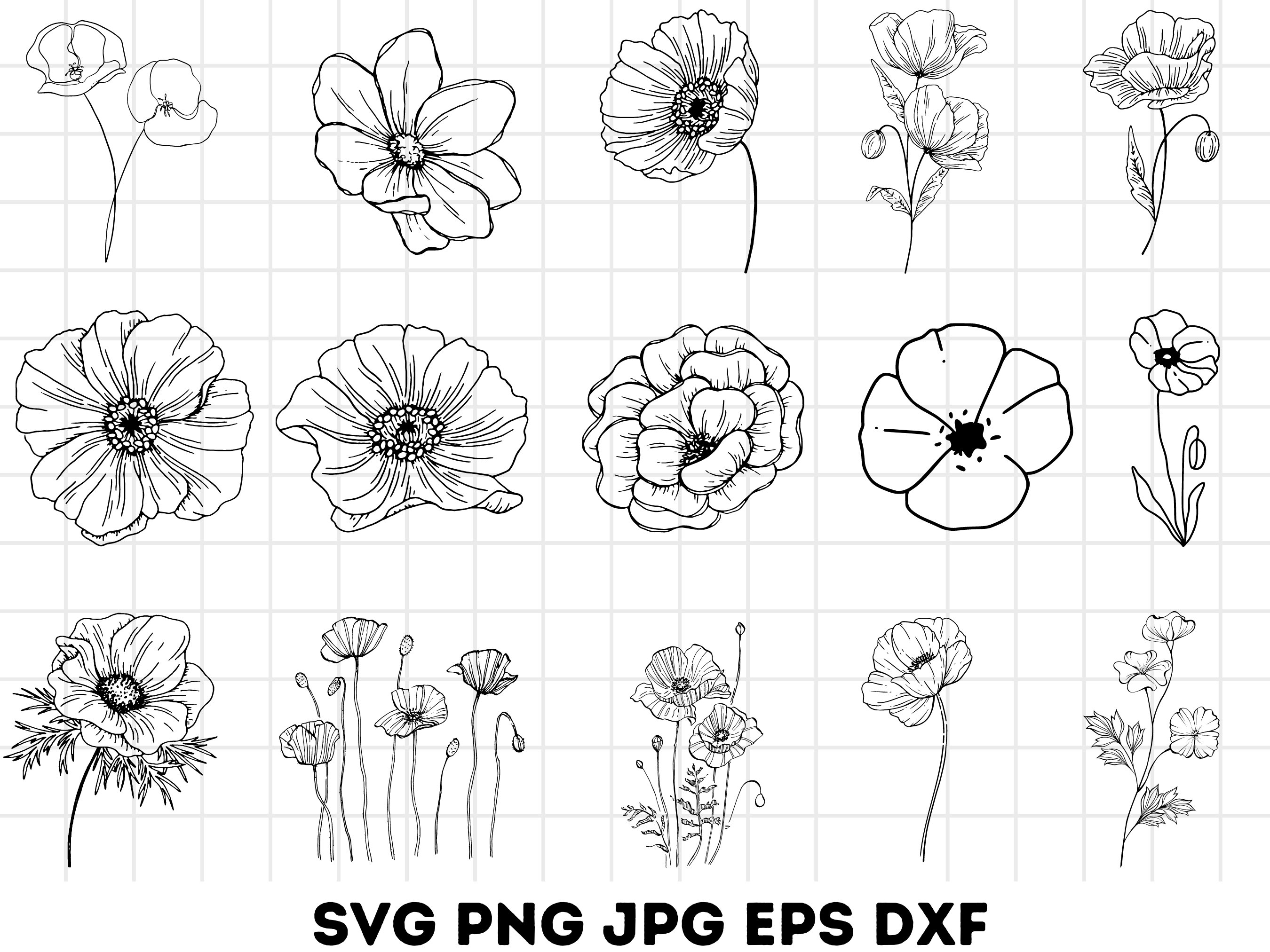 Poppy Svg Bundle, Poppy Clipart, Botanical Svg, Flower Svg, Poppy ...