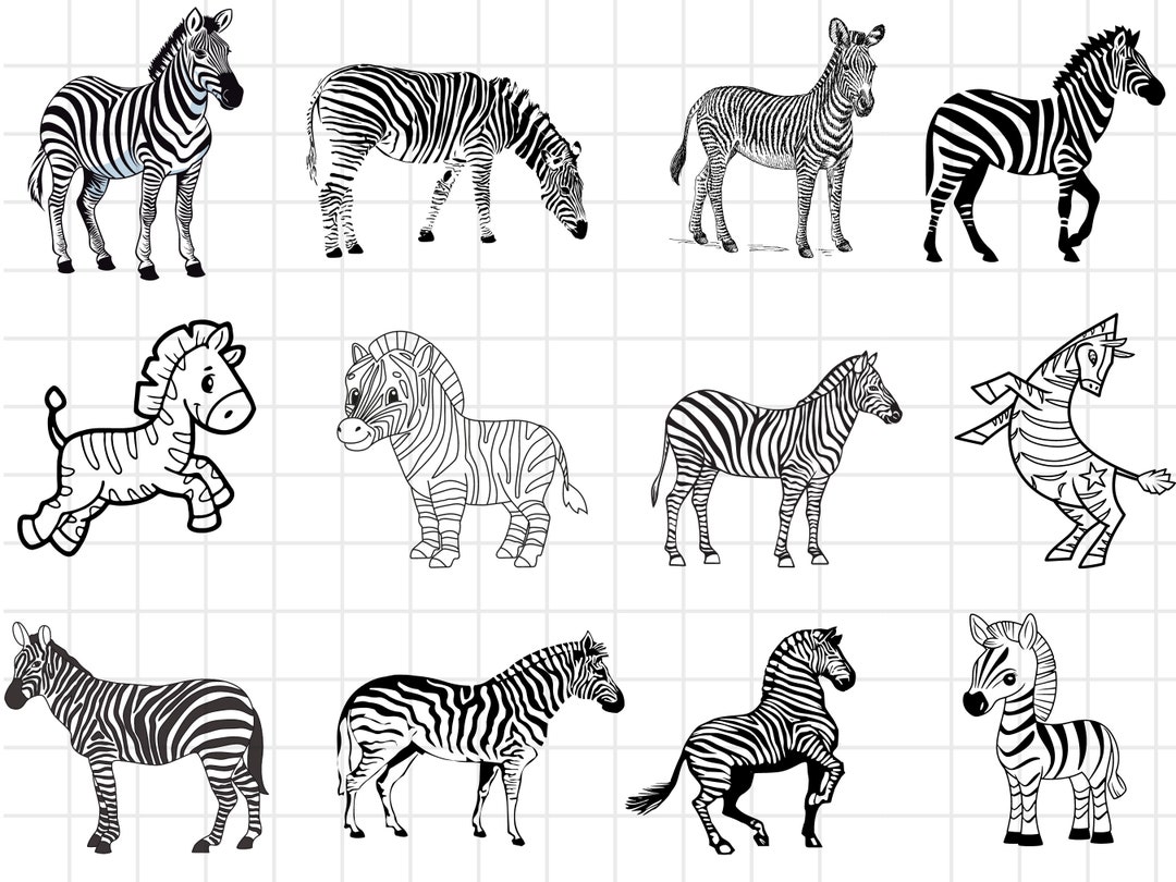 Zebra SVG Bundle, Zebra Face SVG, Wild Life Svg, Africa Animal Svg ...