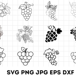 Grape Svg Bundle , Grape Bunch Clipart Bundle , Leaves SVG, Grape Clipart, Grape Silhouette ...