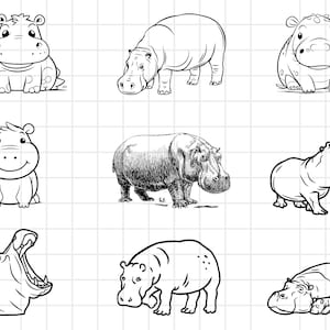 Hippo Svg Bundle , Hippo Svg , Cut Files for Cricut and Laser Engraving ...