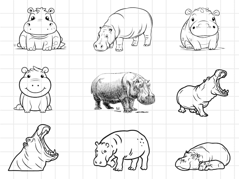 Hippo Svg Bundle , Hippo Svg , Cut Files for Cricut and Laser Engraving ...