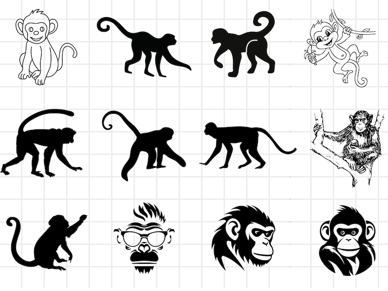 Monkey Svg, Monkey Bundle, Monkey Clipart, Monkey Png, Monkey Cut Files ...