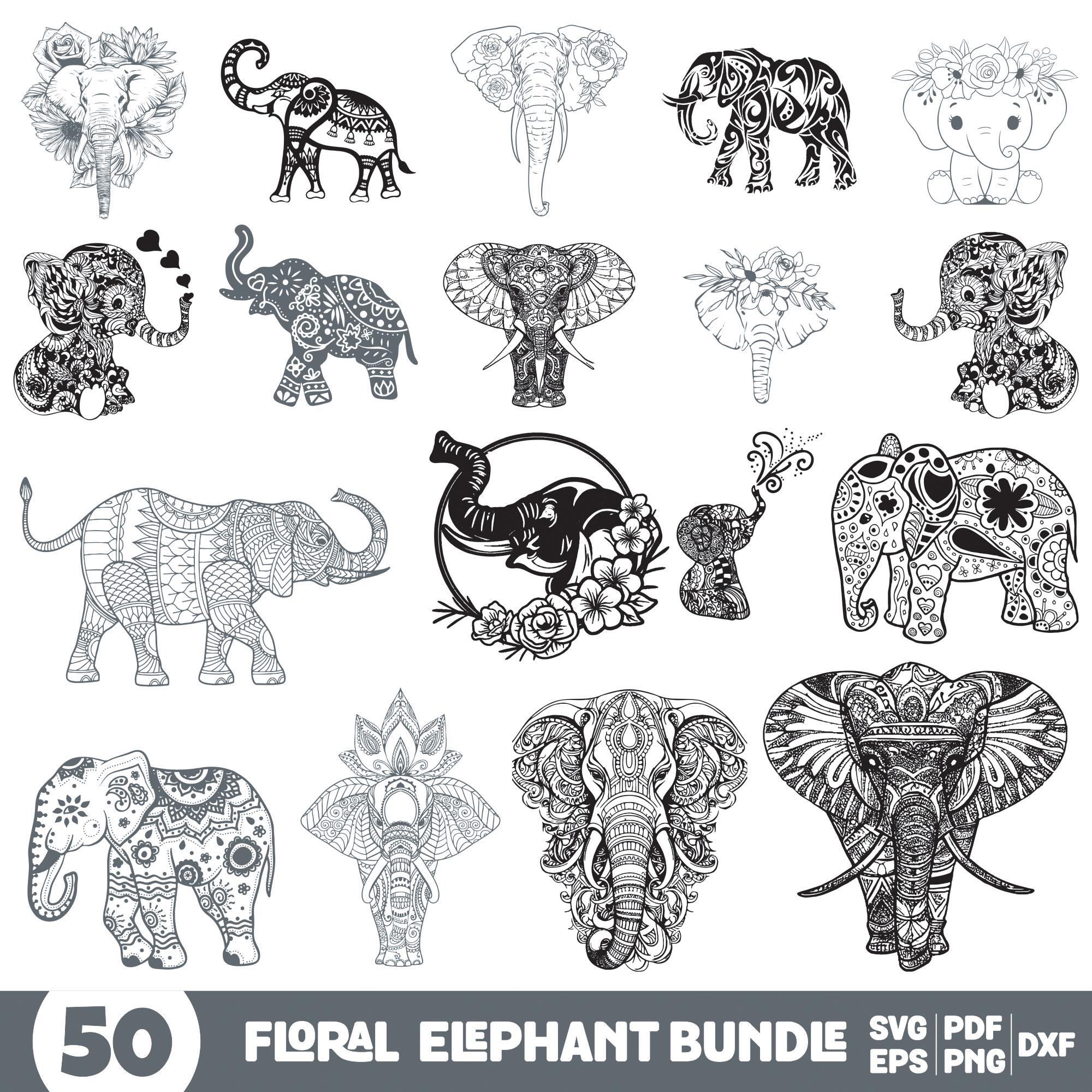 Floral Elephant Svg Bundle, Elephant Clipart for Cricut, Elephant ...