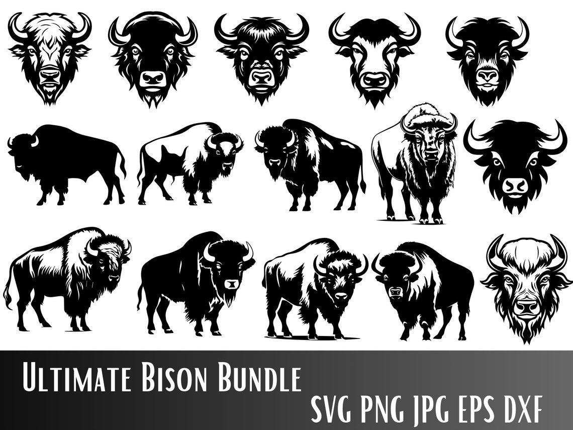 BISON SVG Bundle, Bison Svg Clipart, Bison Cut Files for Cricut, Bison ...