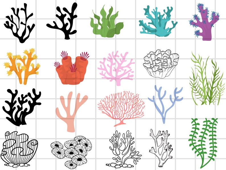 Coral SVG Bundle, Best Quality Bundle, Coral Clipart, Coral SVG Cut ...