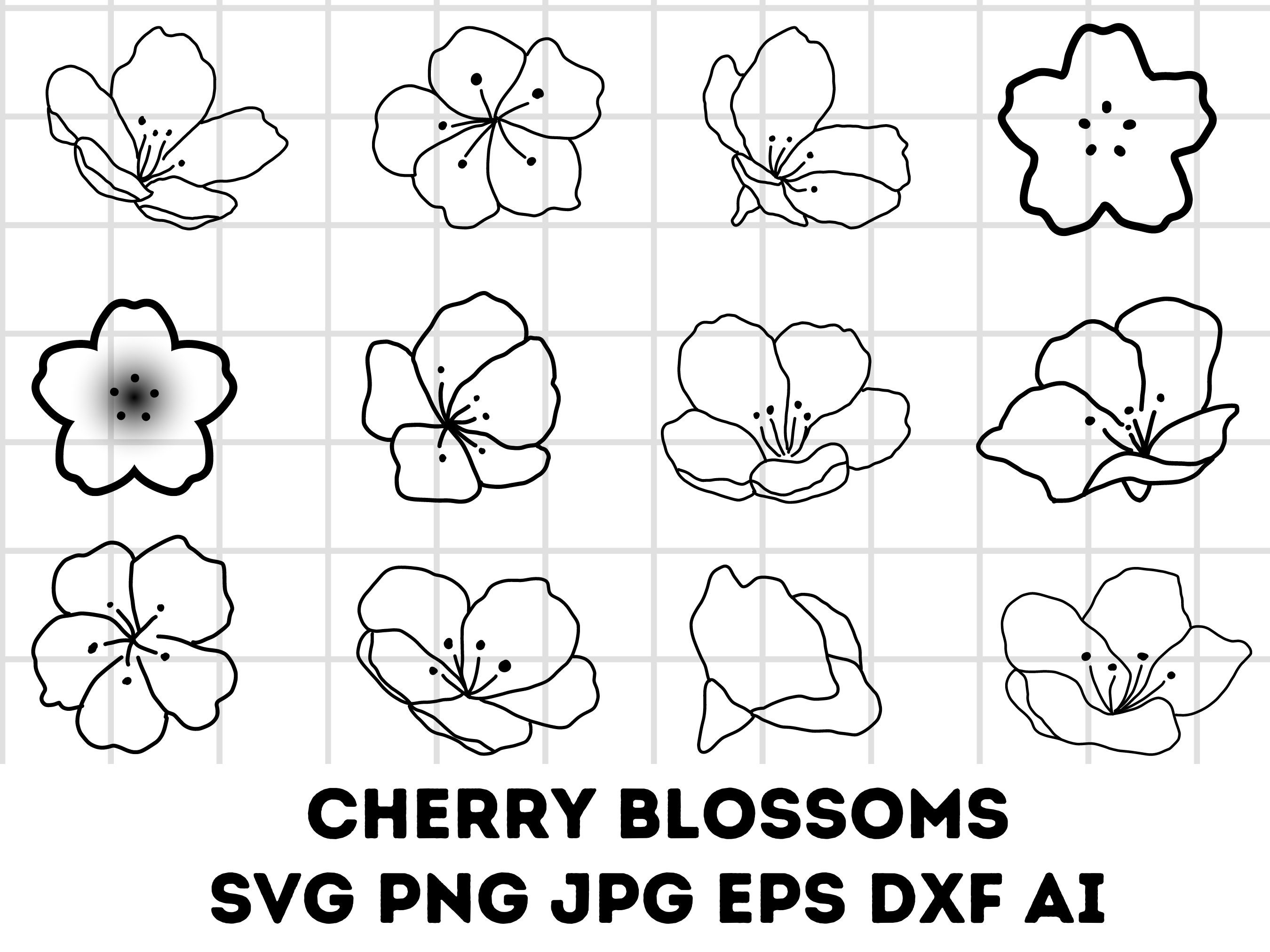 Cherry Blossom Line Art SVG, Floral SVG Bundle, Botanical Hand Drawn ...