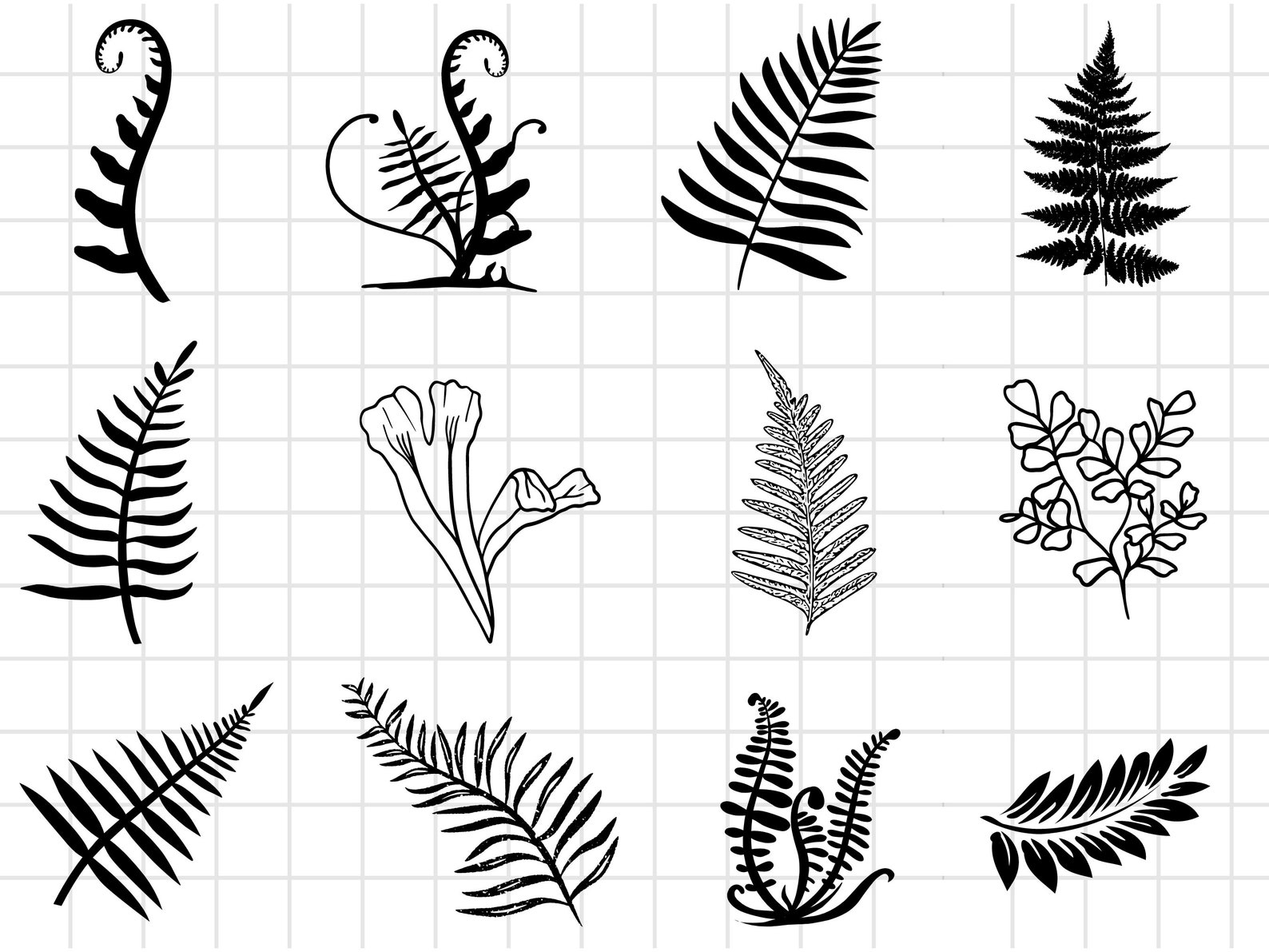 Fern Leaves Svg Bundle, Fern Cricut, Fern Svg Bundle, Fern Leaf SVG ...