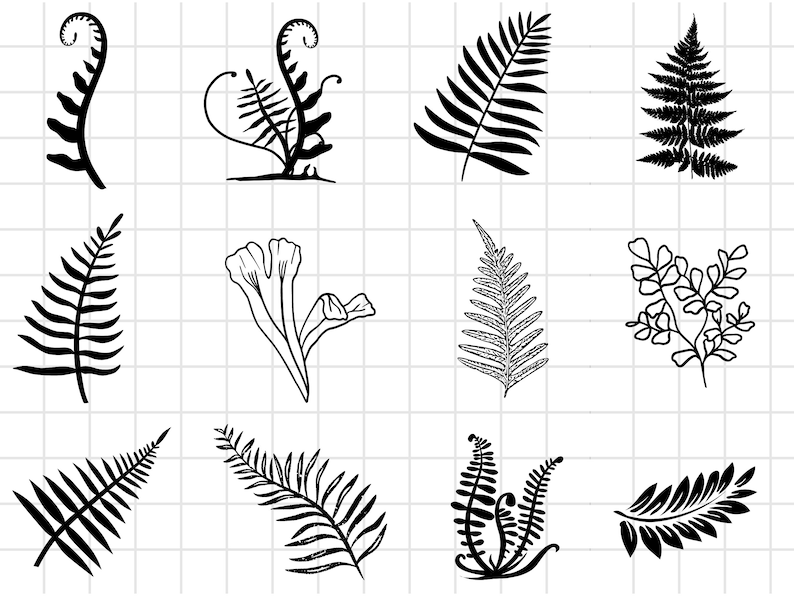 Fern Leaves Svg Bundle, Fern Cricut, Fern Svg Bundle, Fern Leaf SVG ...