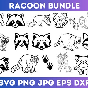 Raccoon SVG Bundle, Raccoon Svg, Raccoon Head Svg, Raccoon Png ...