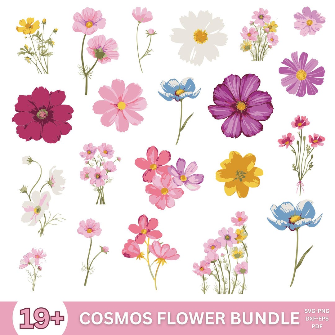 Cosmos Flower Svg Bundle, Cosmos Flower Clipart, Cosmos Flower ...