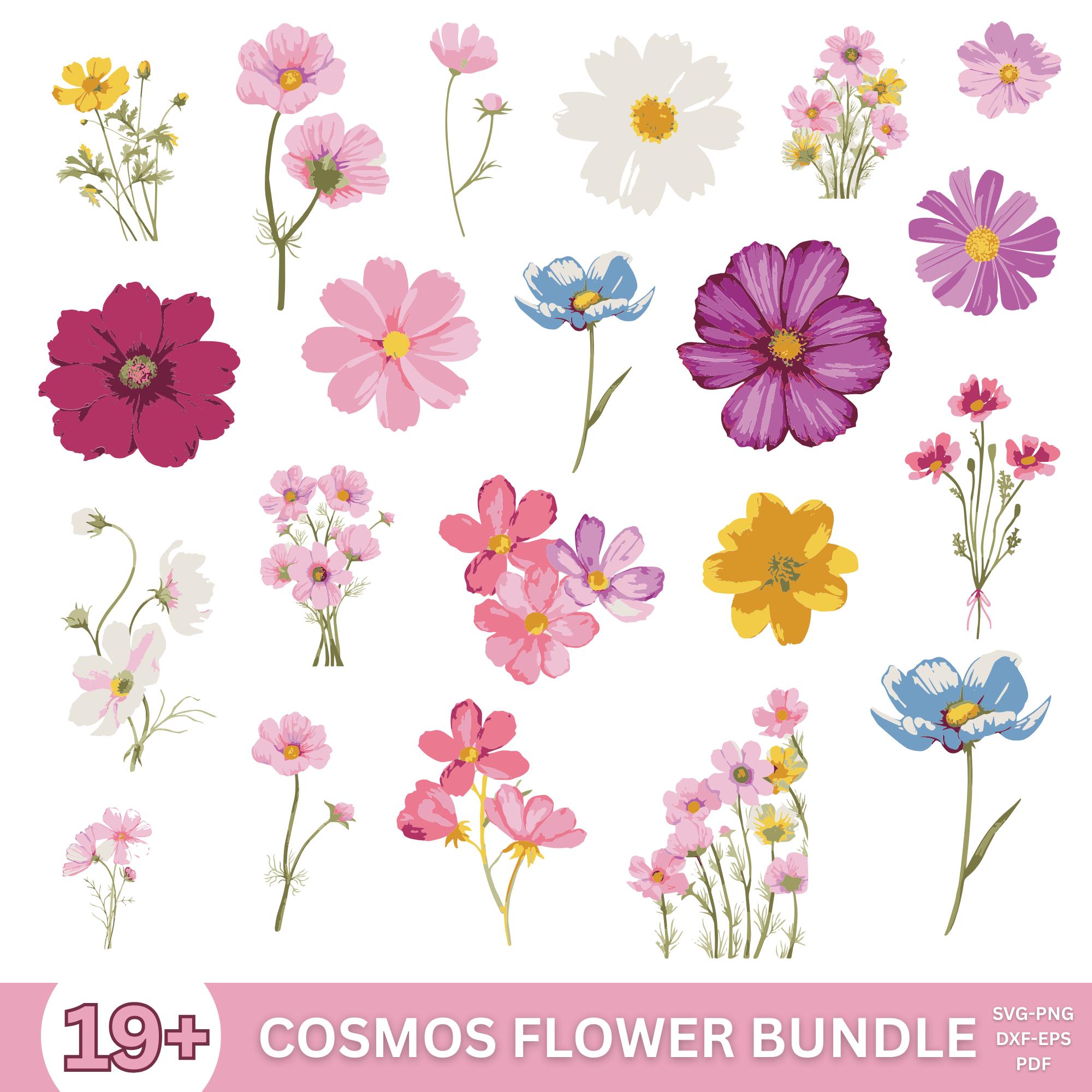 Cosmos Flower Svg Bundle, Cosmos Flower Clipart, Cosmos Flower ...