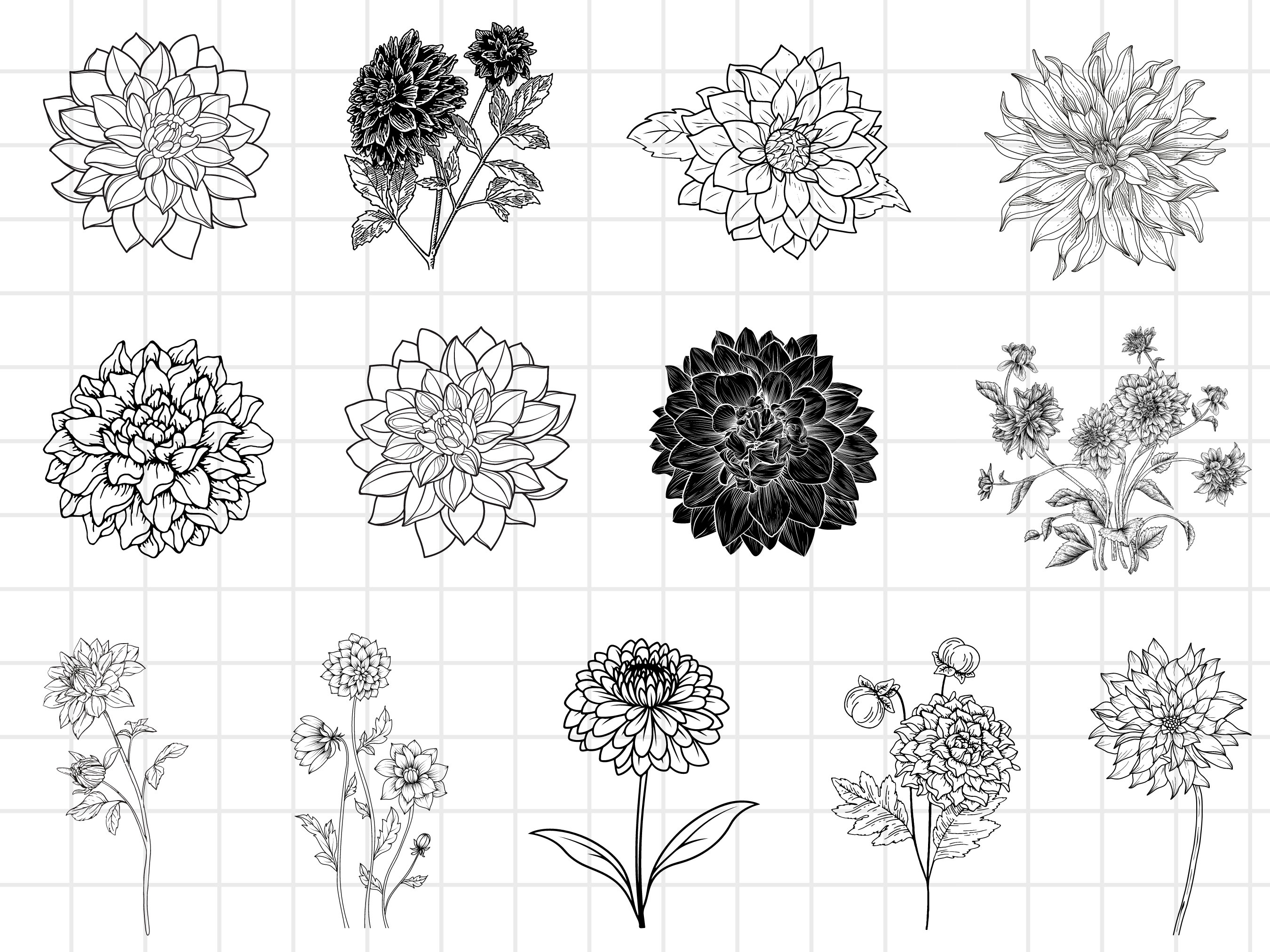 Dahlia Flower SVG Bundle, Dahlia Cricut, Flower Clipart, Dahlia ...