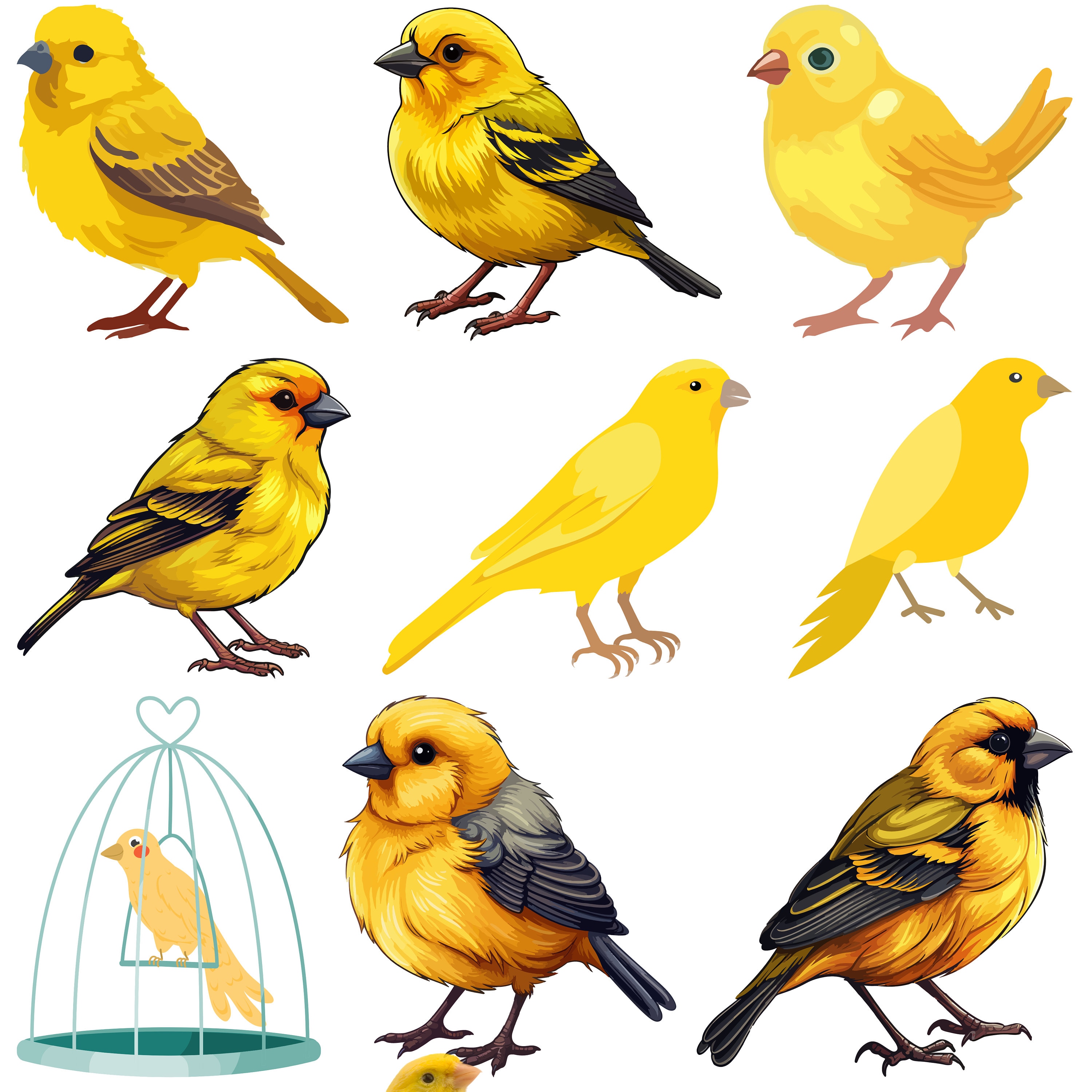 Canary Bird SVG Bundle, Canary Bird Vector, Canary Bird Outline, Canary ...