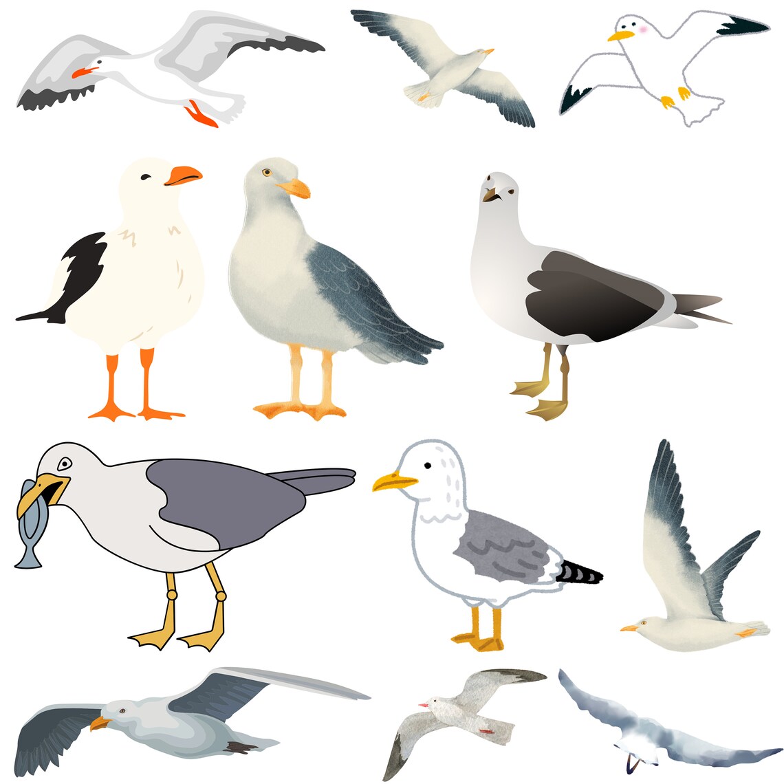 Seagull SVG Bundle, Seagull SVG Cut Files for Cricut, Seagull ...