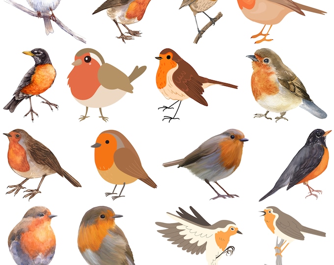 Robin Bird SVG Bundle, Robin Bird Dxf, Robin Bird Png, Robin Bird Eps ...