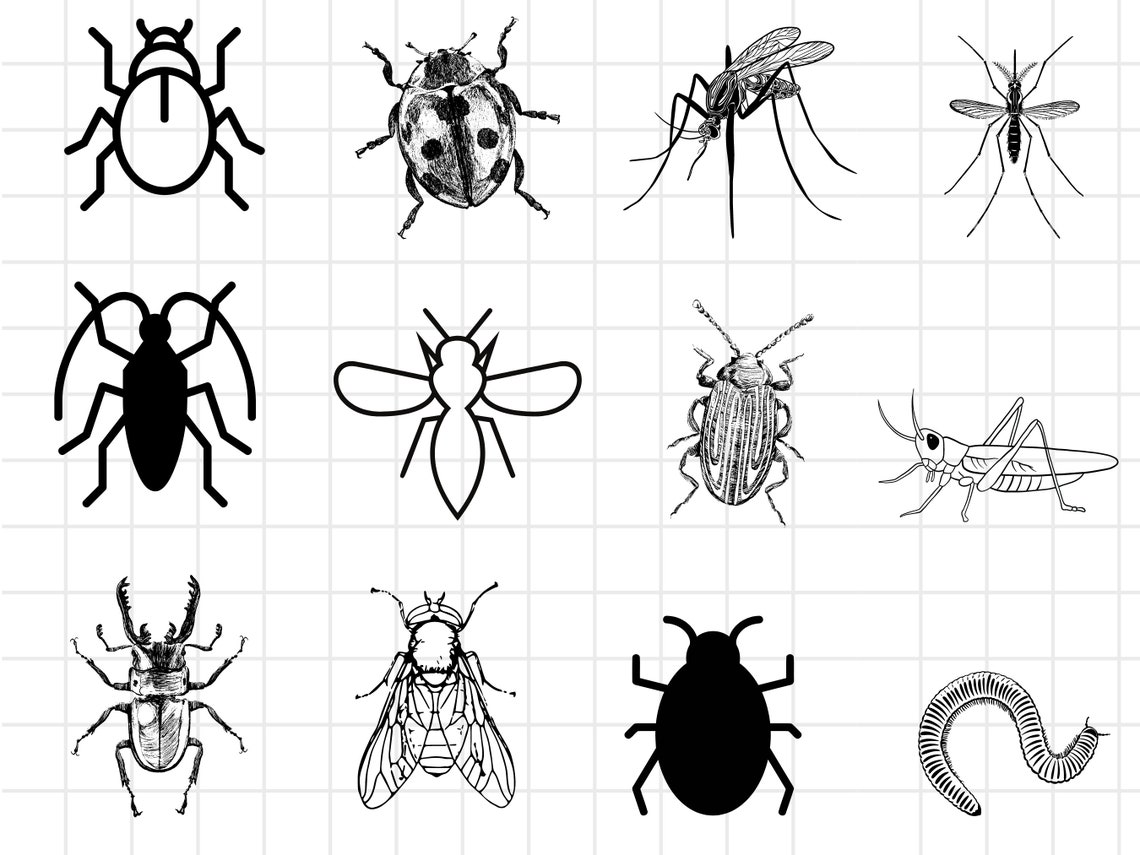 Insect Svg Bundle, Insect Clipart Bundle. Insect Silhouette. Insect Cut ...