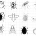 Insect Svg Bundle, Insect Clipart Bundle. Insect Silhouette. Insect Cut ...