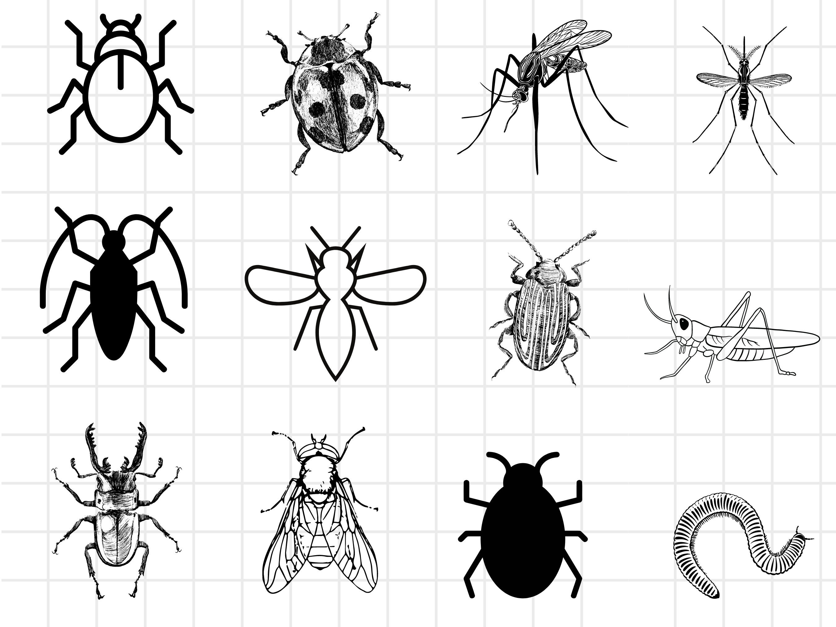 Insect Svg Bundle, Insect Clipart Bundle. Insect Silhouette. Insect Cut ...