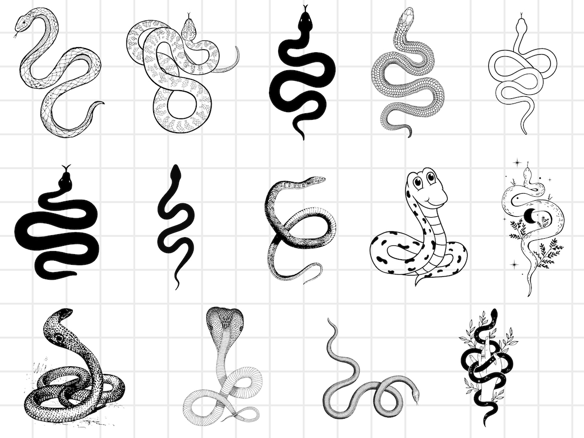 Snake SVG Bundle | Floral Snake SVG | Celestial Snake SVG | Snake With ...