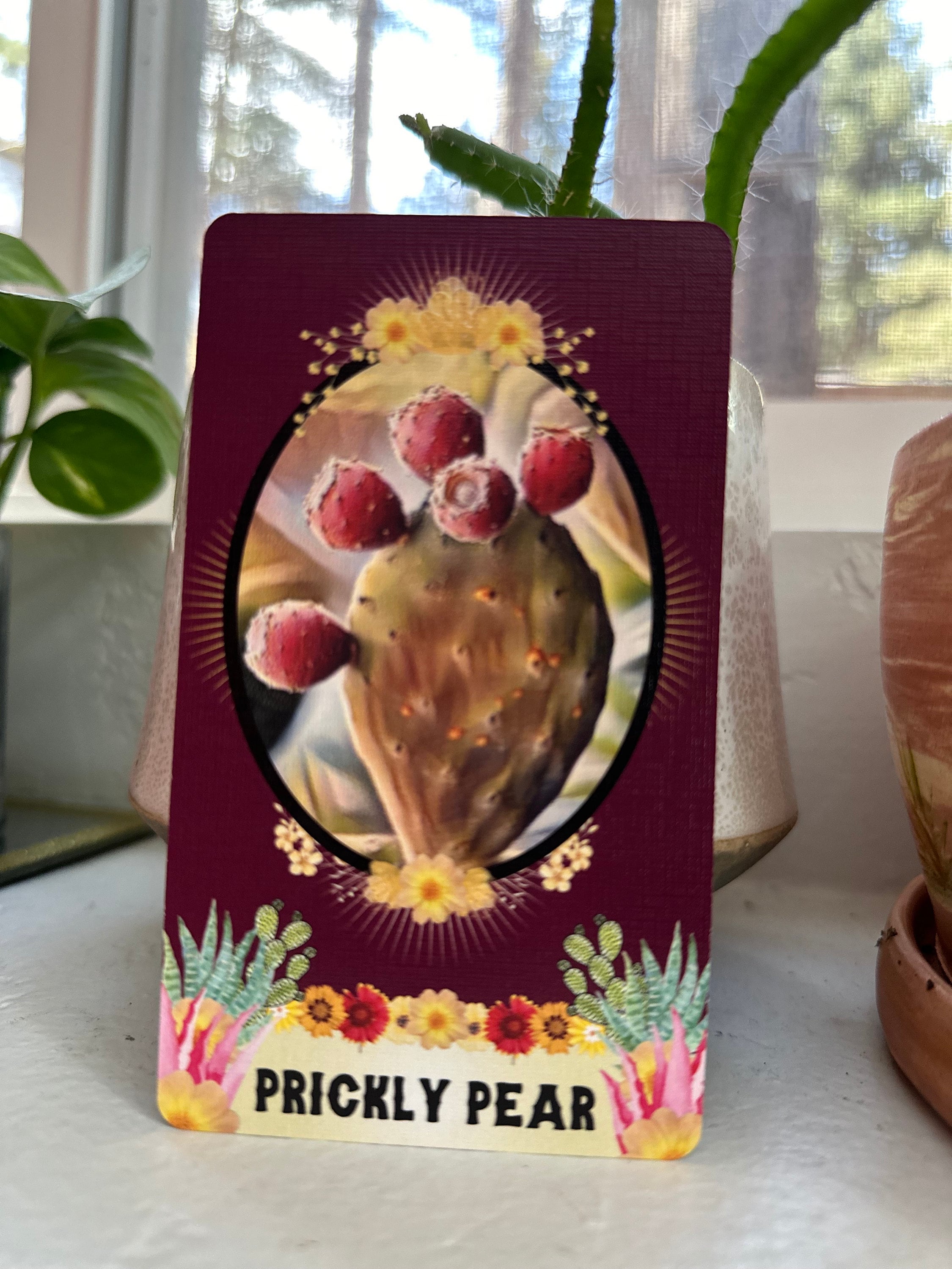 The Southwest Oracle Deck by Rooster Blackspur - Etsy