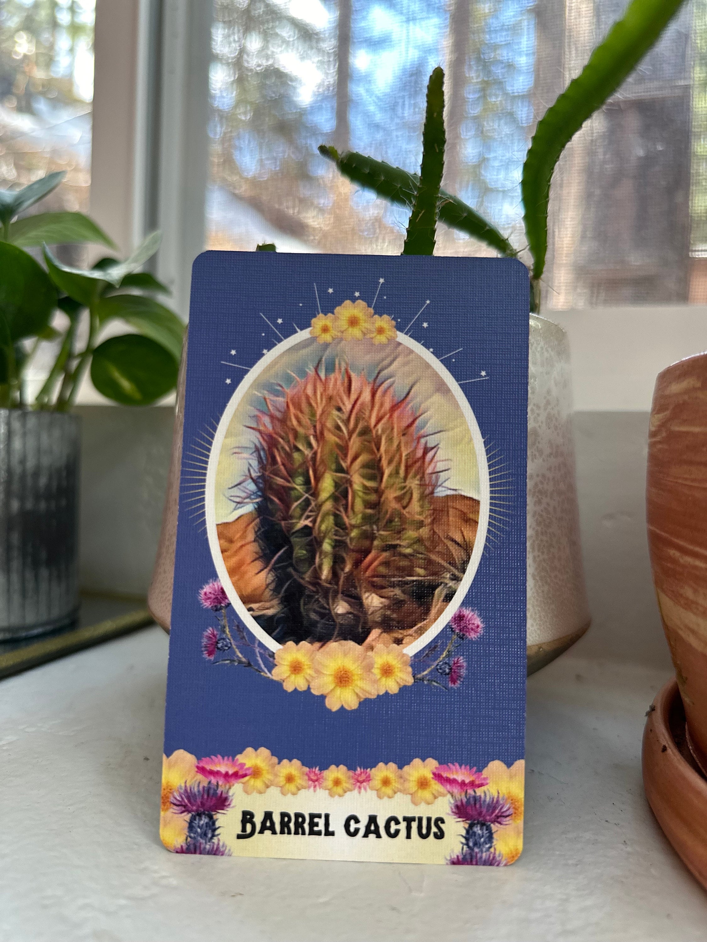 The Southwest Oracle Deck by Rooster Blackspur - Etsy