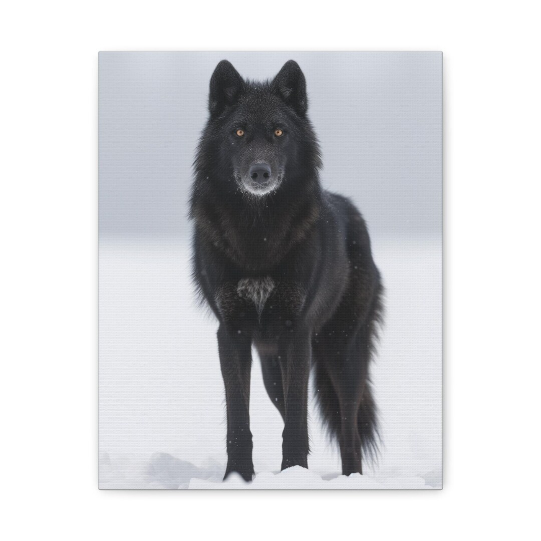 Black Lone Wolf Nature Photography Canvas, Matte Stretched Wall Art - Etsy
