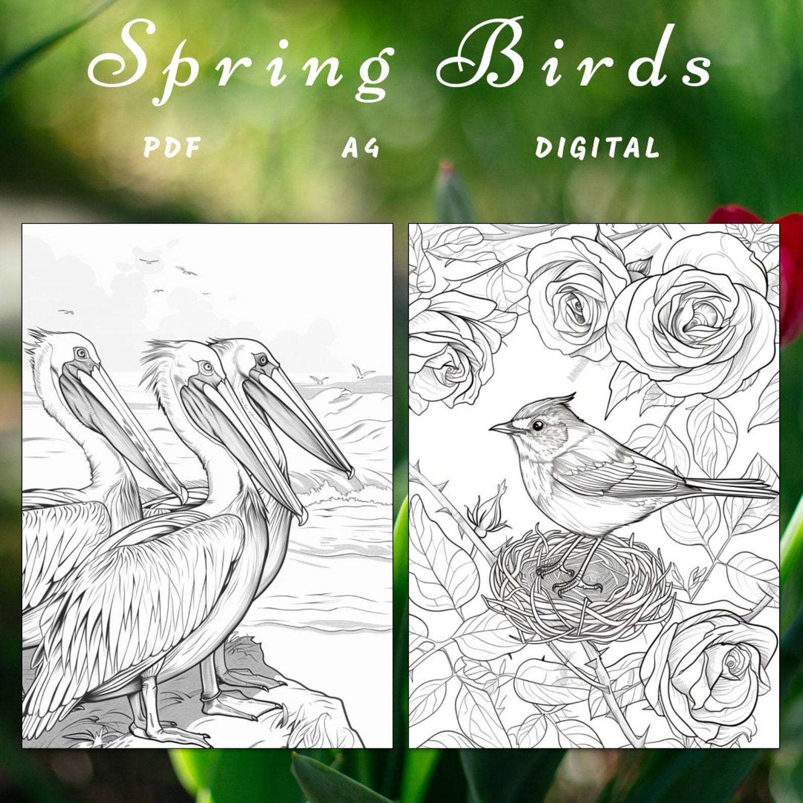 23 Spring Bird Coloring Page, Fantasy Coloring, Spring Coloring, Adults ...