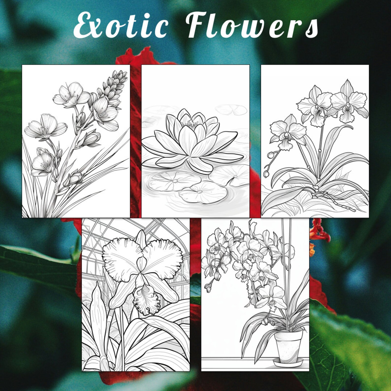 30 Exotic Flowers Coloring Page, Flowers Coloring Book, Exotic Coloring ...