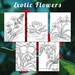 30 Exotic Flowers Coloring Page, Flowers Coloring Book, Exotic Coloring ...