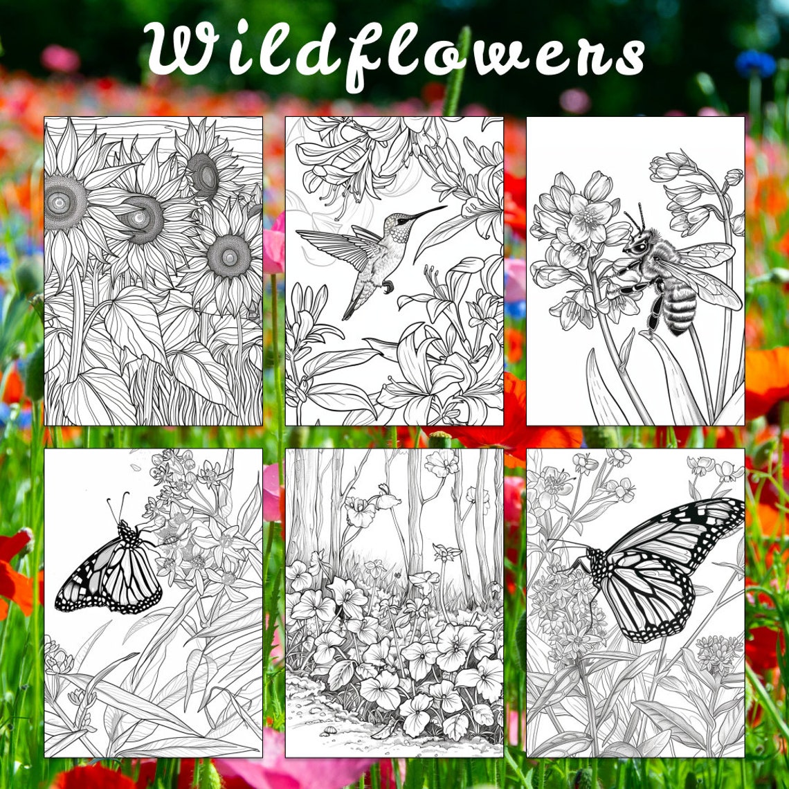 24 Wildflowers Coloring Page, Flowers Coloring Book, Wildflower ...
