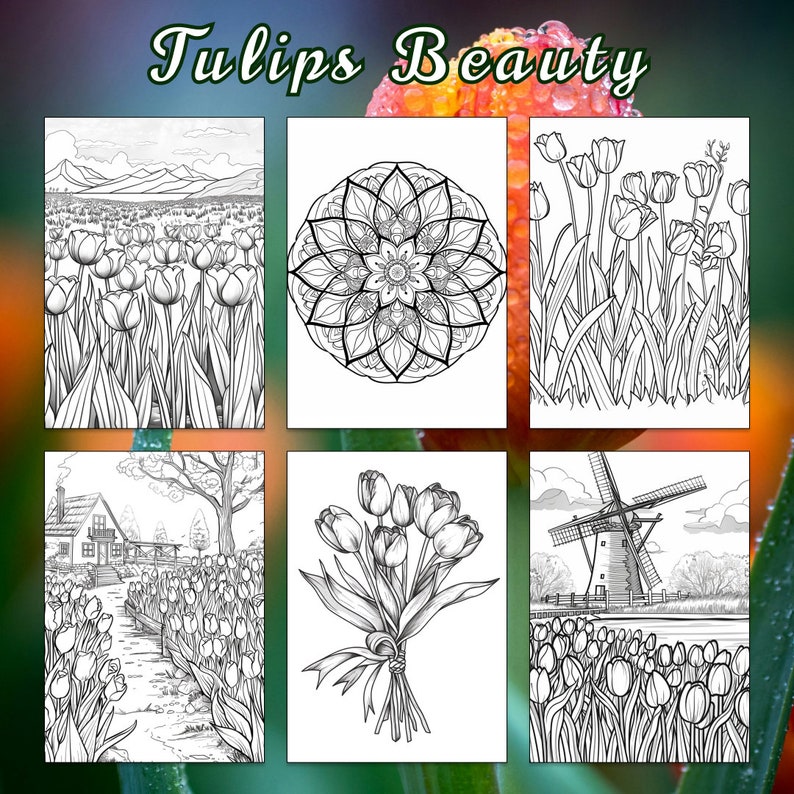 20 Tulips Beauty Coloring Page, Flowers Coloring Book, Tulips Coloring ...