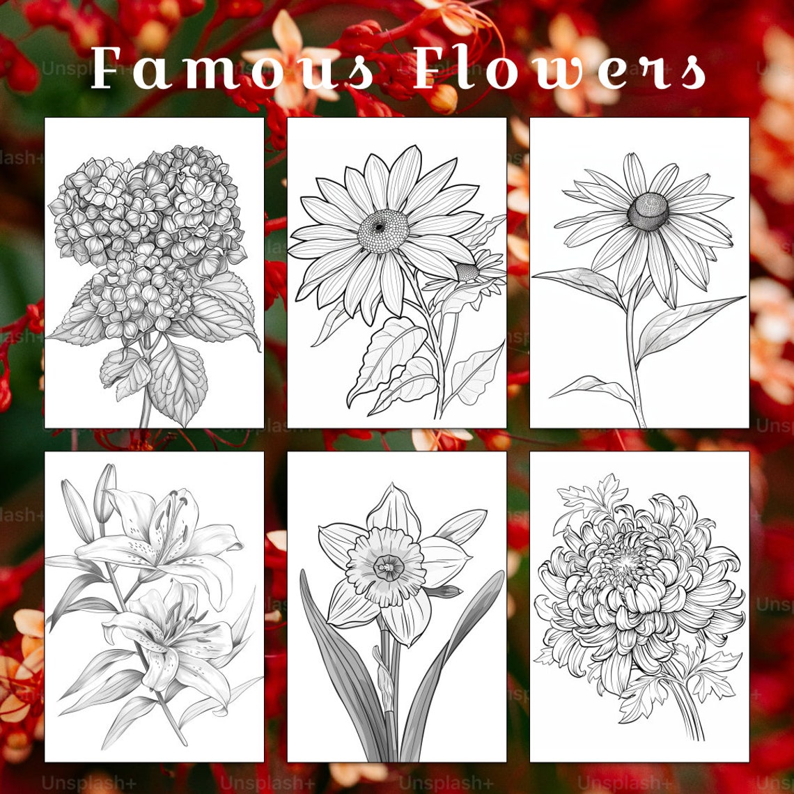 30 Flowers Coloring Page, Flower Coloring Page, Famous Flowers Coloring ...