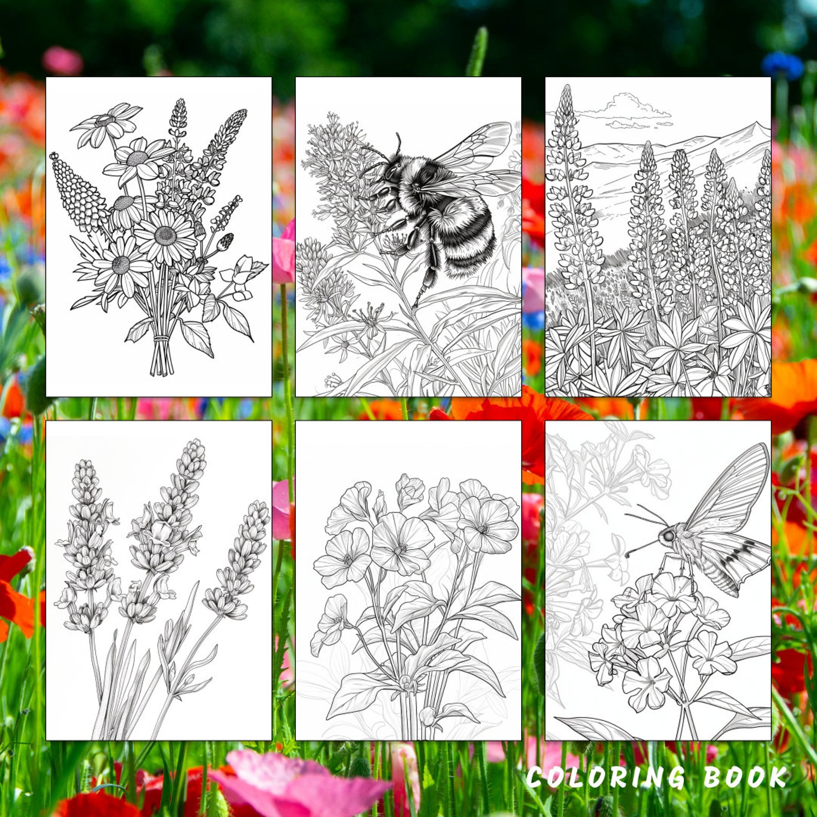 24 Wildflowers Coloring Page, Flowers Coloring Book, Wildflower ...