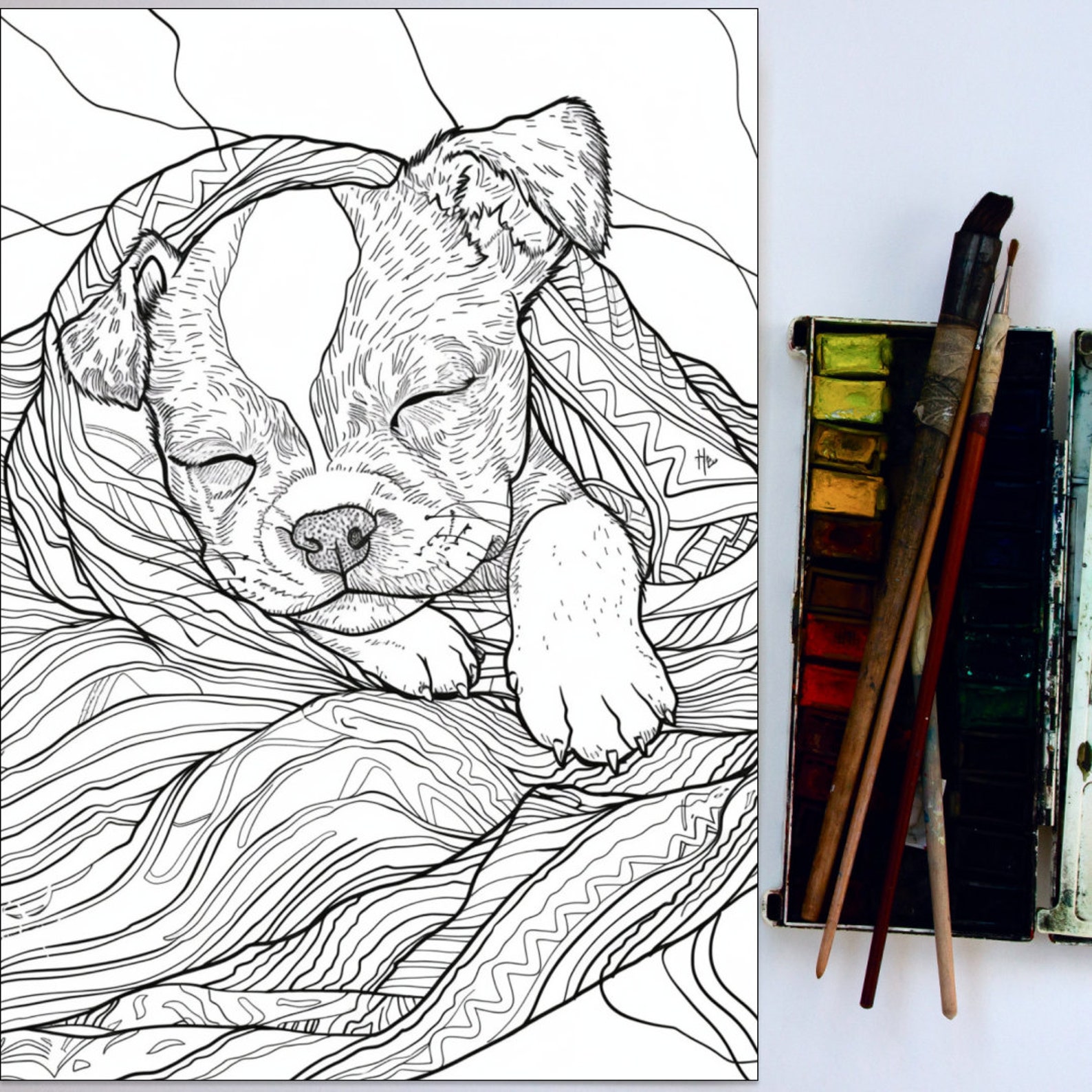 25 Summer Puppy Coloring Page, Cute Puppy Coloring Book, Adults Kids ...