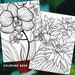 30 Exotic Flowers Coloring Page, Flowers Coloring Book, Exotic Coloring ...