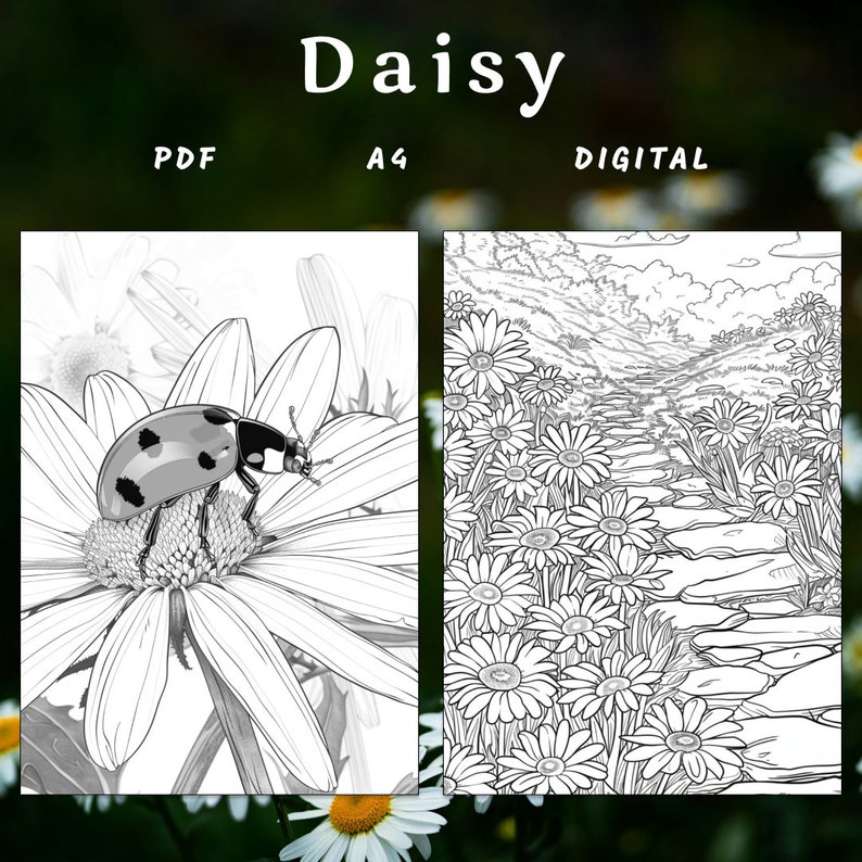 28 Daisy Coloring Page, Flowers Coloring Book, Daisies Coloring, Adults ...