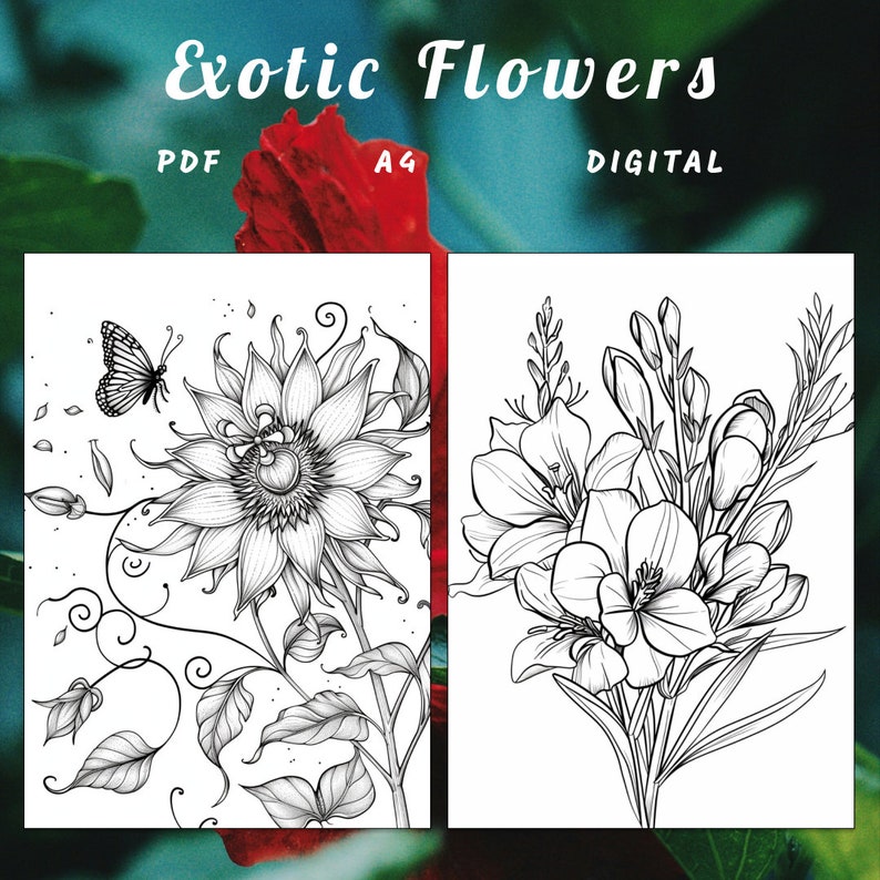 30 Exotic Flowers Coloring Page, Flowers Coloring Book, Exotic Coloring ...