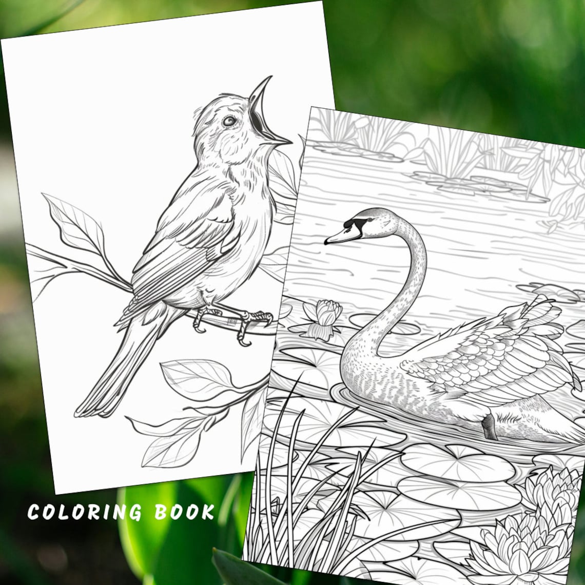 23 Spring Bird Coloring Page, Fantasy Coloring, Spring Coloring, Adults ...