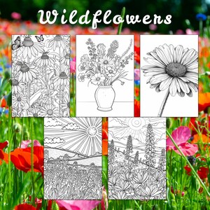24 Wildflowers Coloring Page, Flowers Coloring Book, Wildflower ...